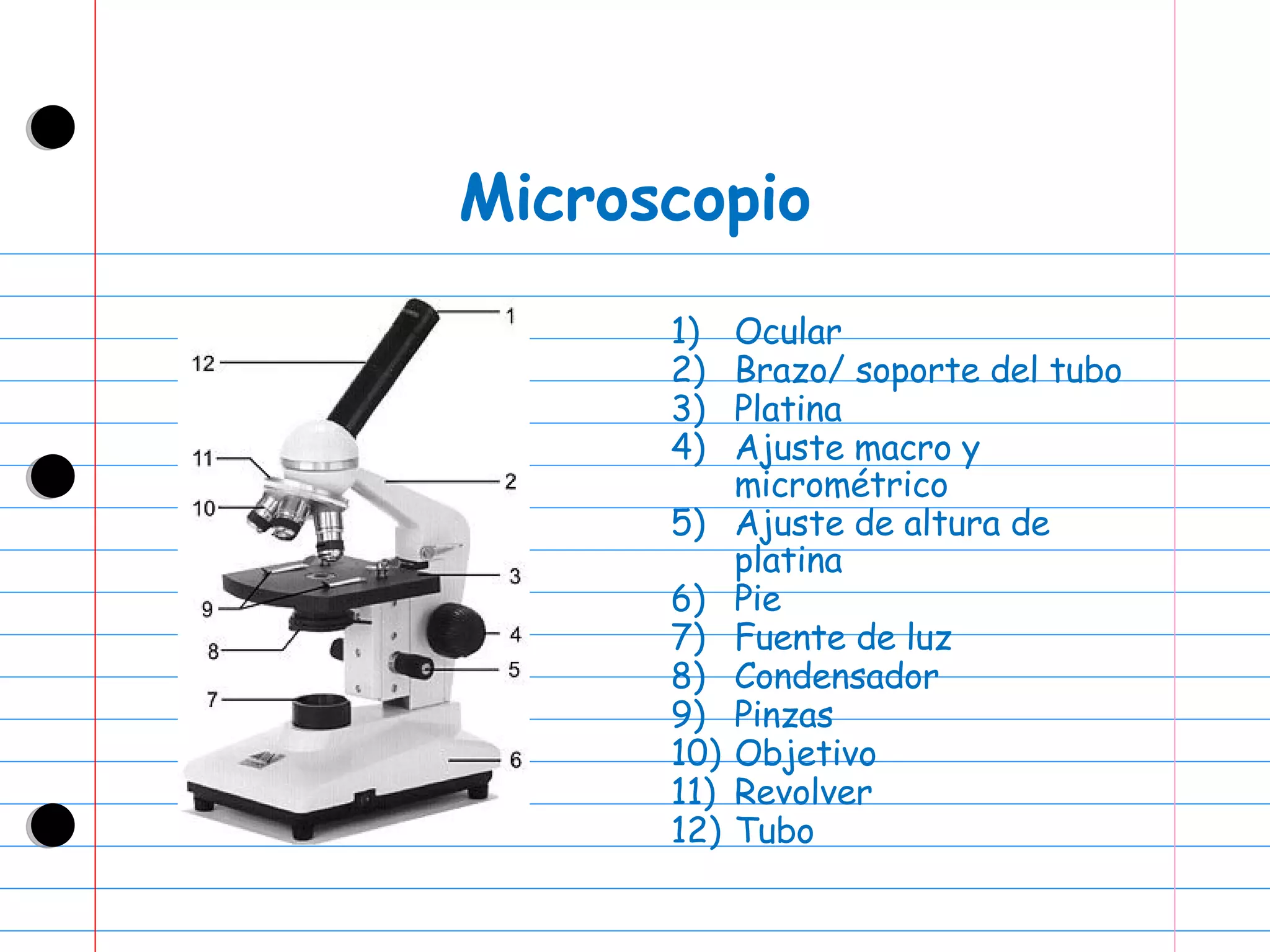 Partes del Microscopio | PPT