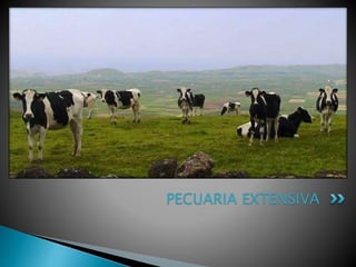 Modulo 02 - Economia rural - a pecuária | PPTX