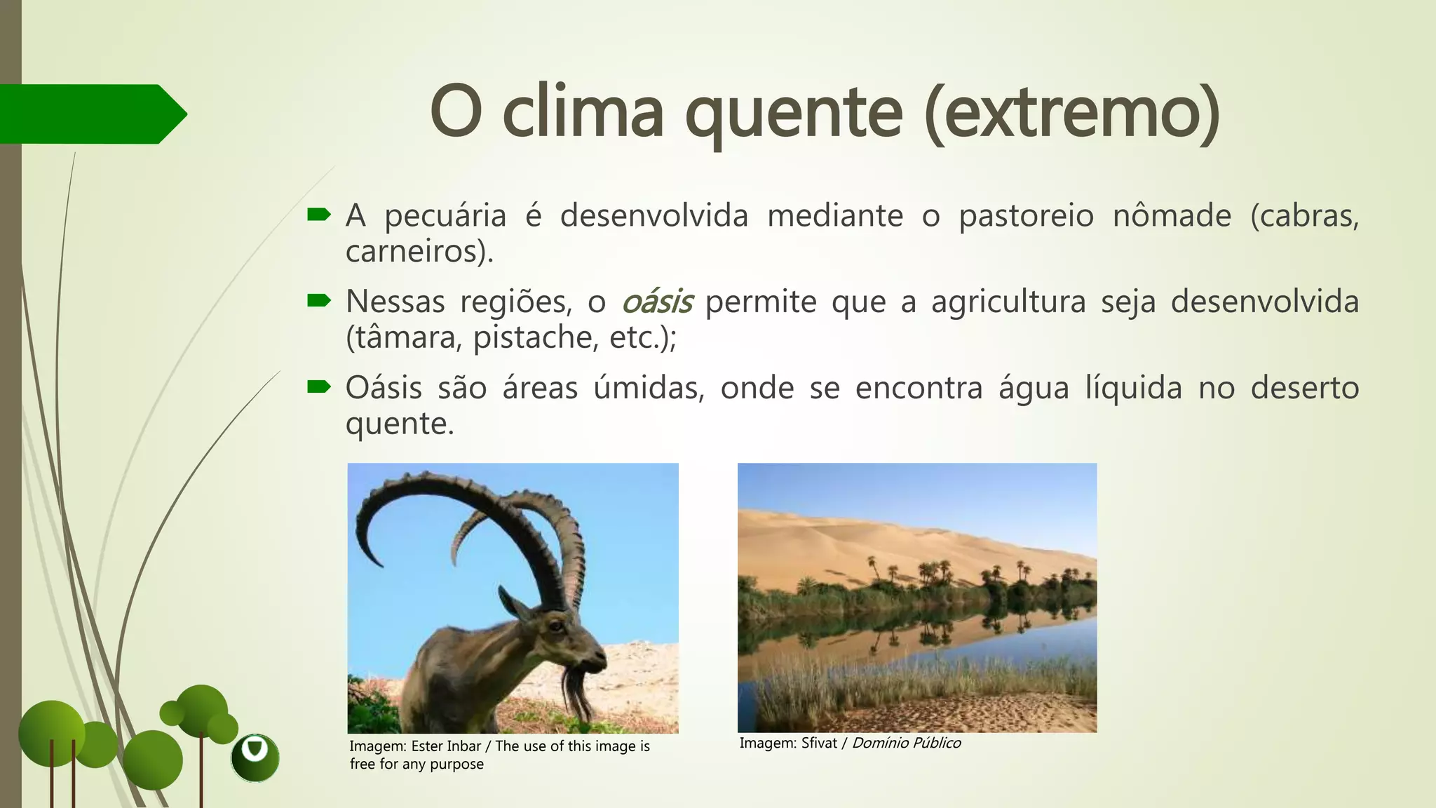 Modulo 05 - O tempo e o clima | PPTX