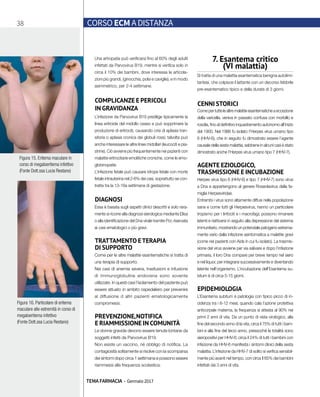 Modulo1 dermatologia pediatrica | PDF
