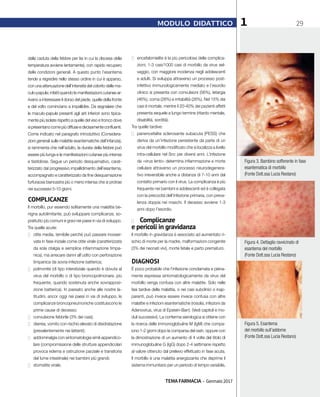 Modulo1 dermatologia pediatrica | PDF