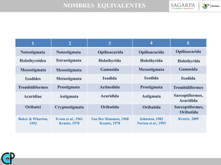 Modulo 2 generalidades biológicas ácaros plaga 1 | PDF