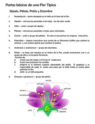 Modulo 3 la flor | PDF