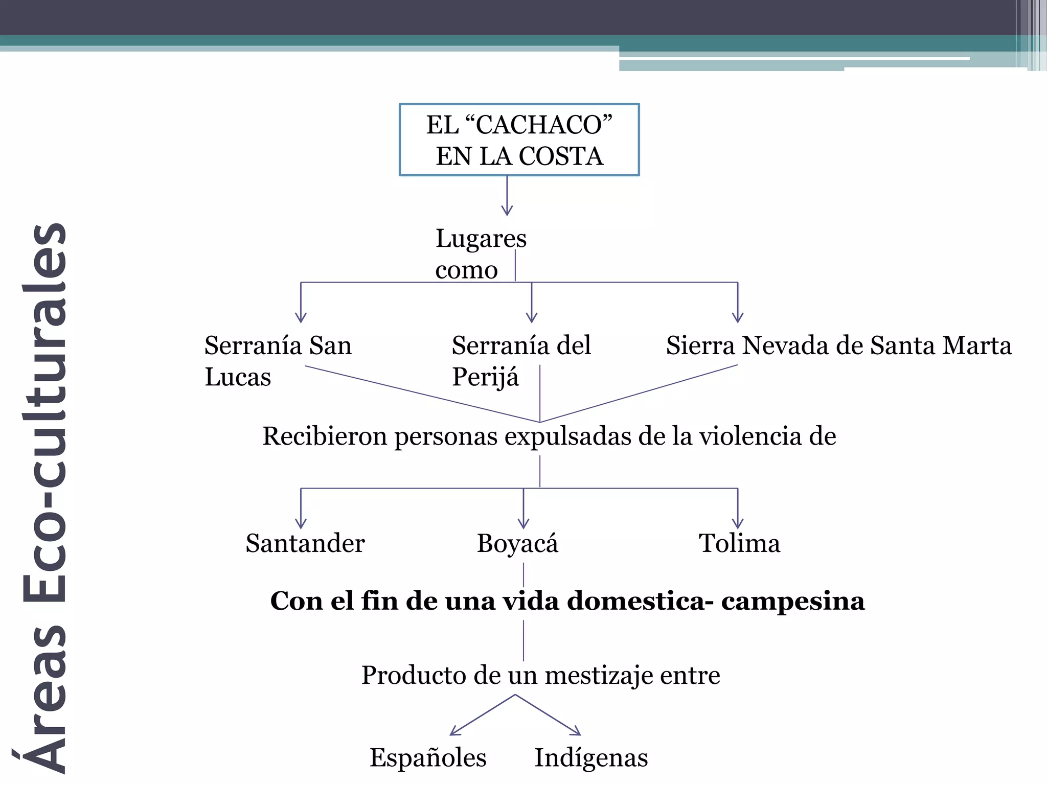 Mapeo y Diversidad entre culturas | PPT