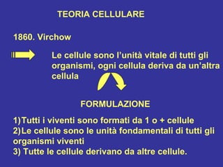 struttura_cellula | PPT | Biological Sciences | Science