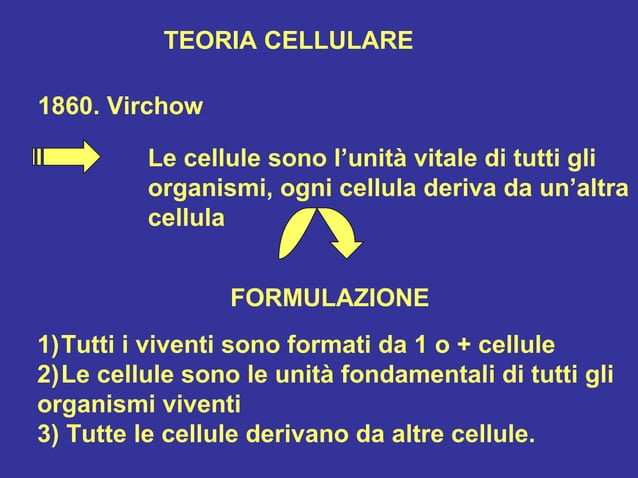 struttura_cellula | PPT | Biological Sciences | Science