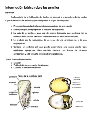 Modulo 7 la semilla | PDF