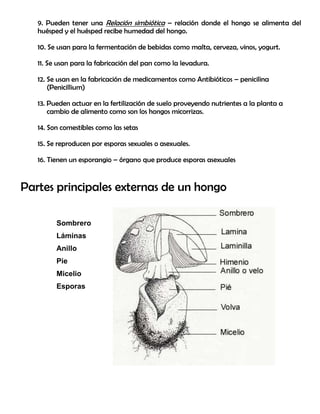 Modulo 8 los hongos | PDF