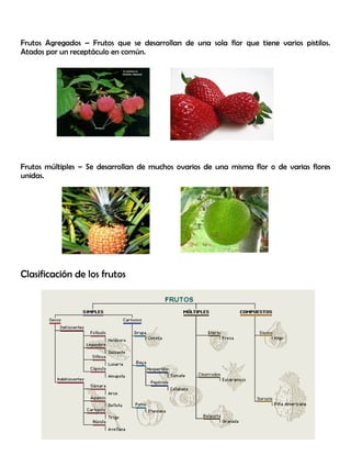 Modulo 9 los frutos | PDF