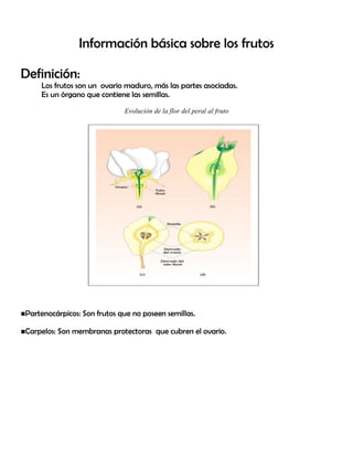 Modulo 9 los frutos | PDF
