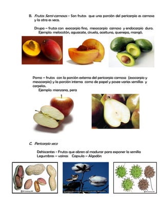 Modulo 9 los frutos | PDF