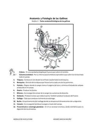 Modulo avicultura | DOCX