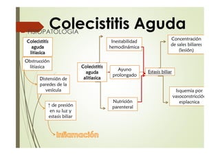 MODULO DE PATOLOGÍA BILIAR | PDF