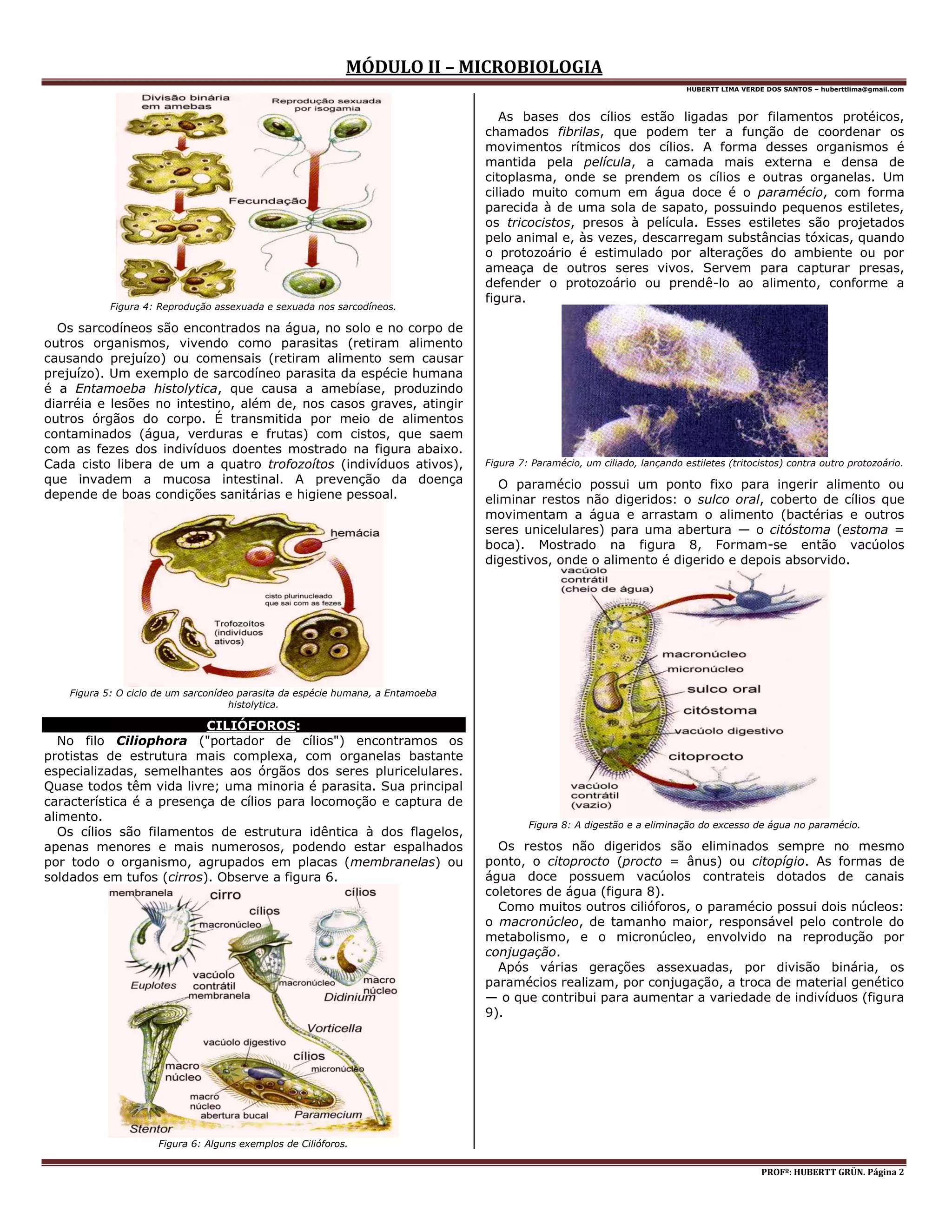 Modulo ii aula 11 - reino protista - protozoários - parte 01 | PDF