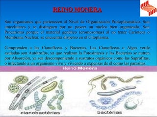 Modulo iv biologia | PPT