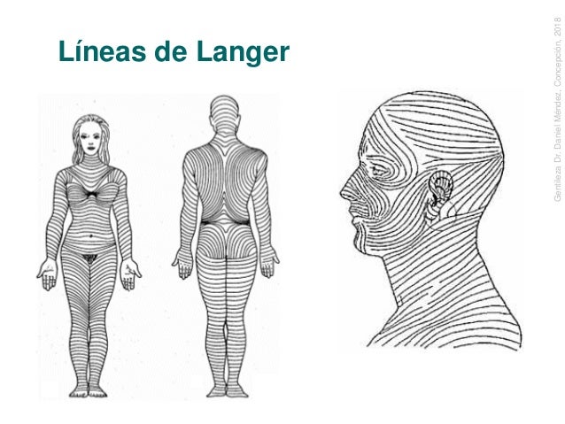 Modulo teorico 3 tecnicas basicas