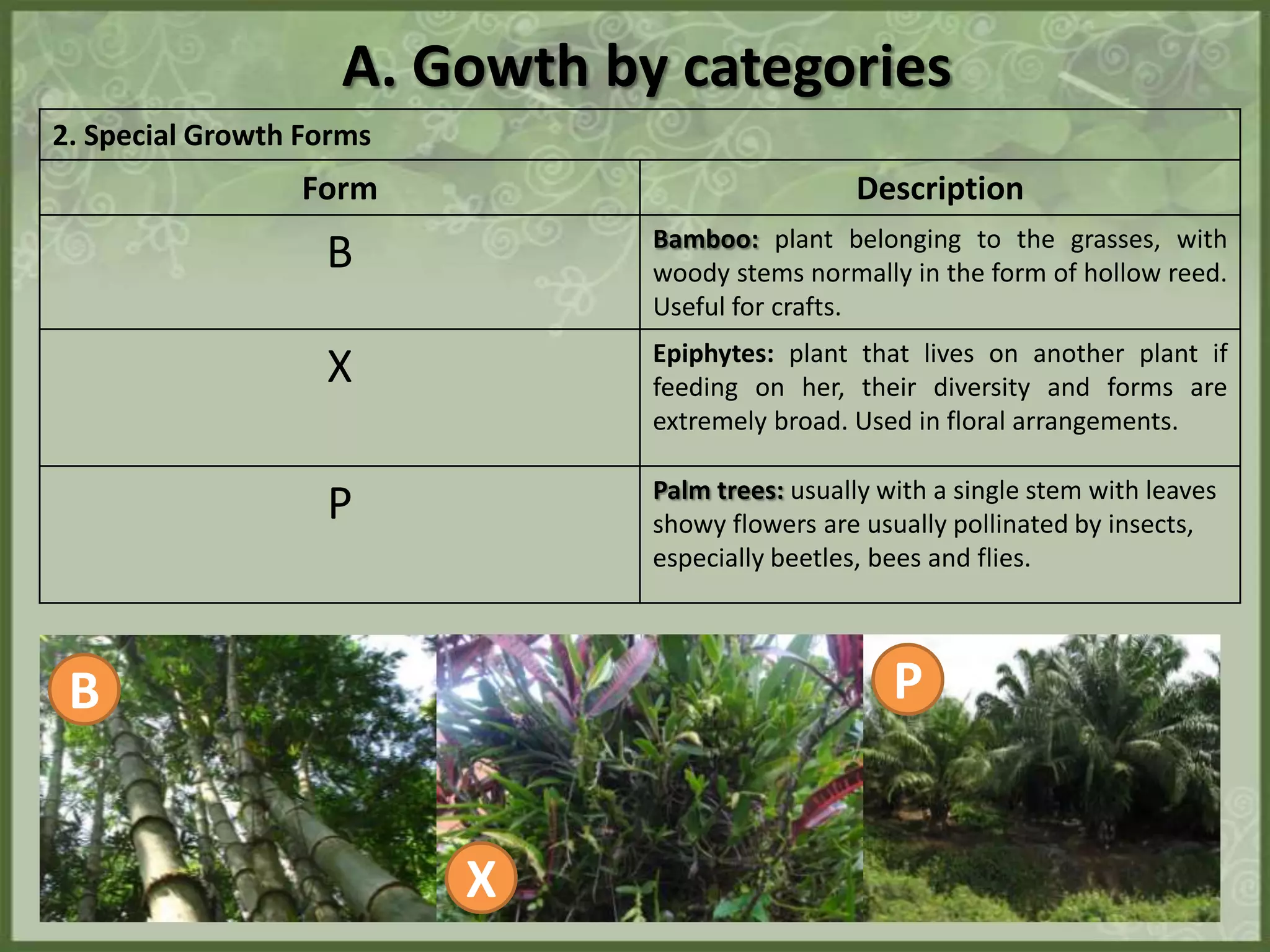 The Physiognomic Formula in Analog Forestry | PPTX