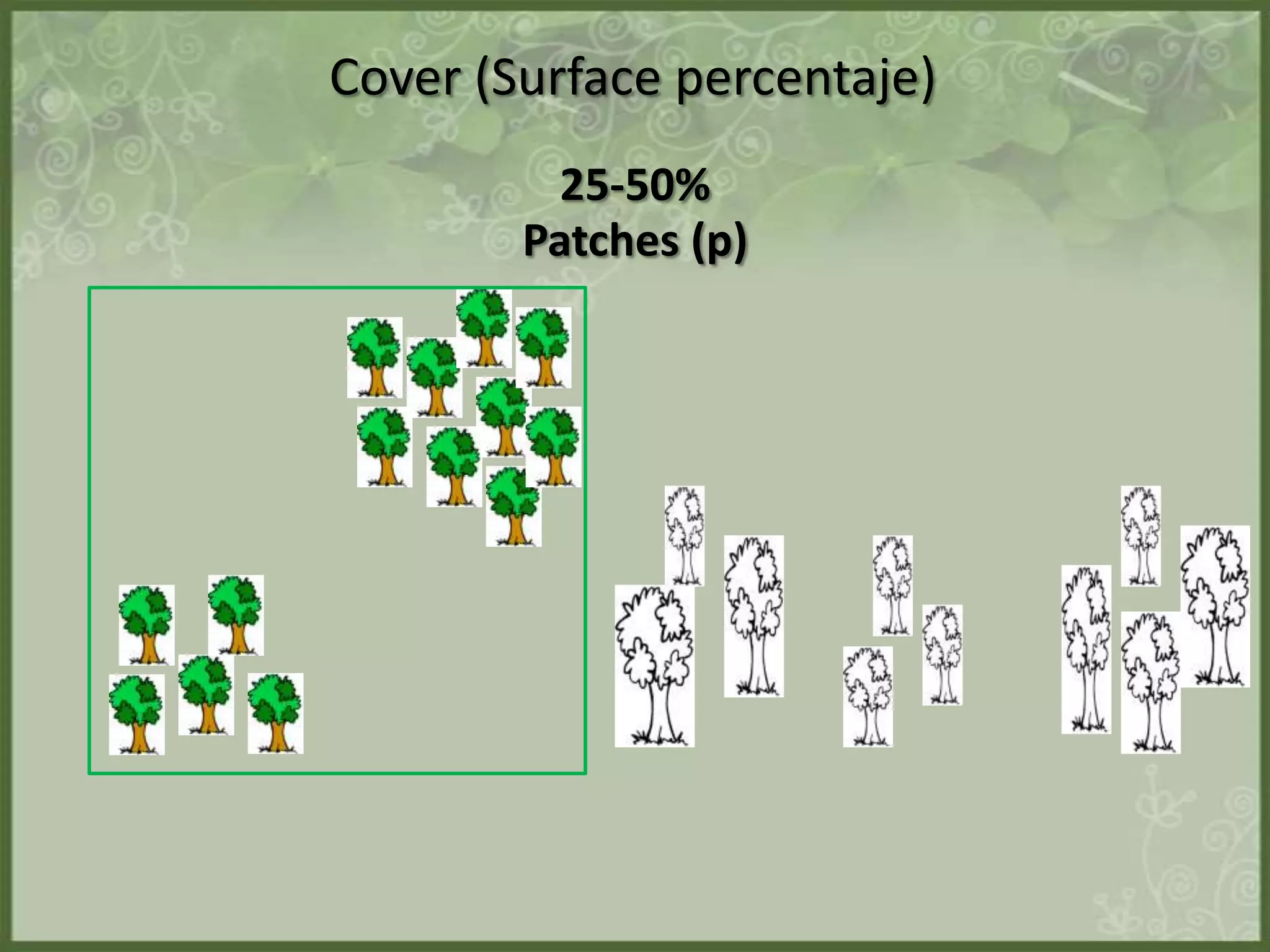 The Physiognomic Formula in Analog Forestry | PPTX