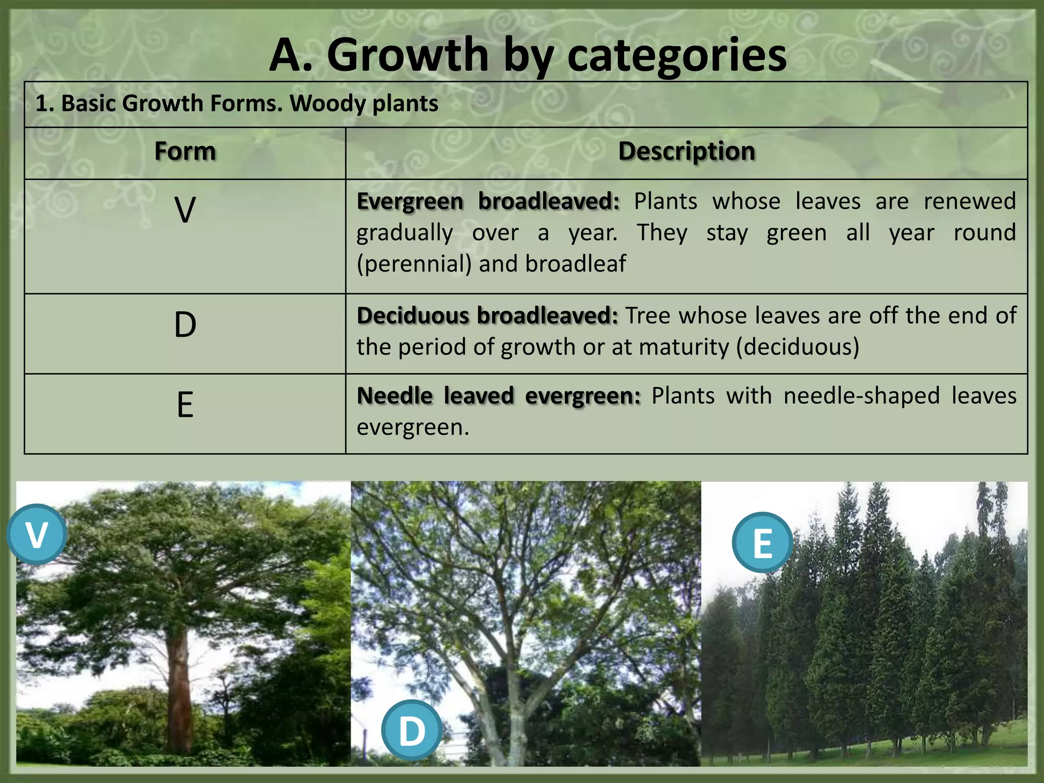 The Physiognomic Formula in Analog Forestry | PPTX