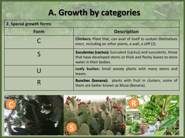 The Physiognomic Formula in Analog Forestry | PPT