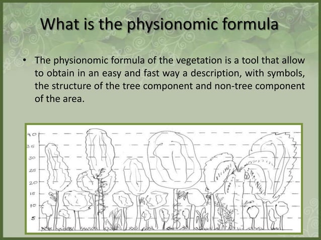 The Physiognomic Formula in Analog Forestry | PPT