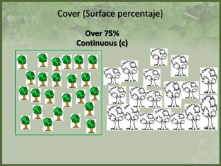 The Physiognomic Formula in Analog Forestry | PPTX