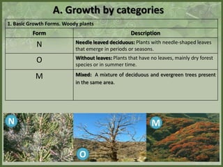 The Physiognomic Formula in Analog Forestry | PPTX