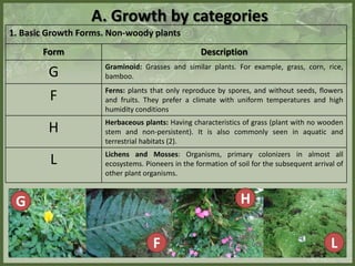 The Physiognomic Formula in Analog Forestry | PPTX