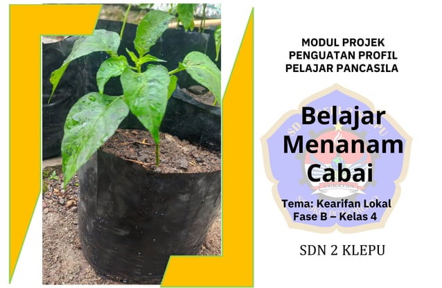 Modul P5 - BELAJAR MENANAM CABAI - Fase B. KELAS 4.pdf
