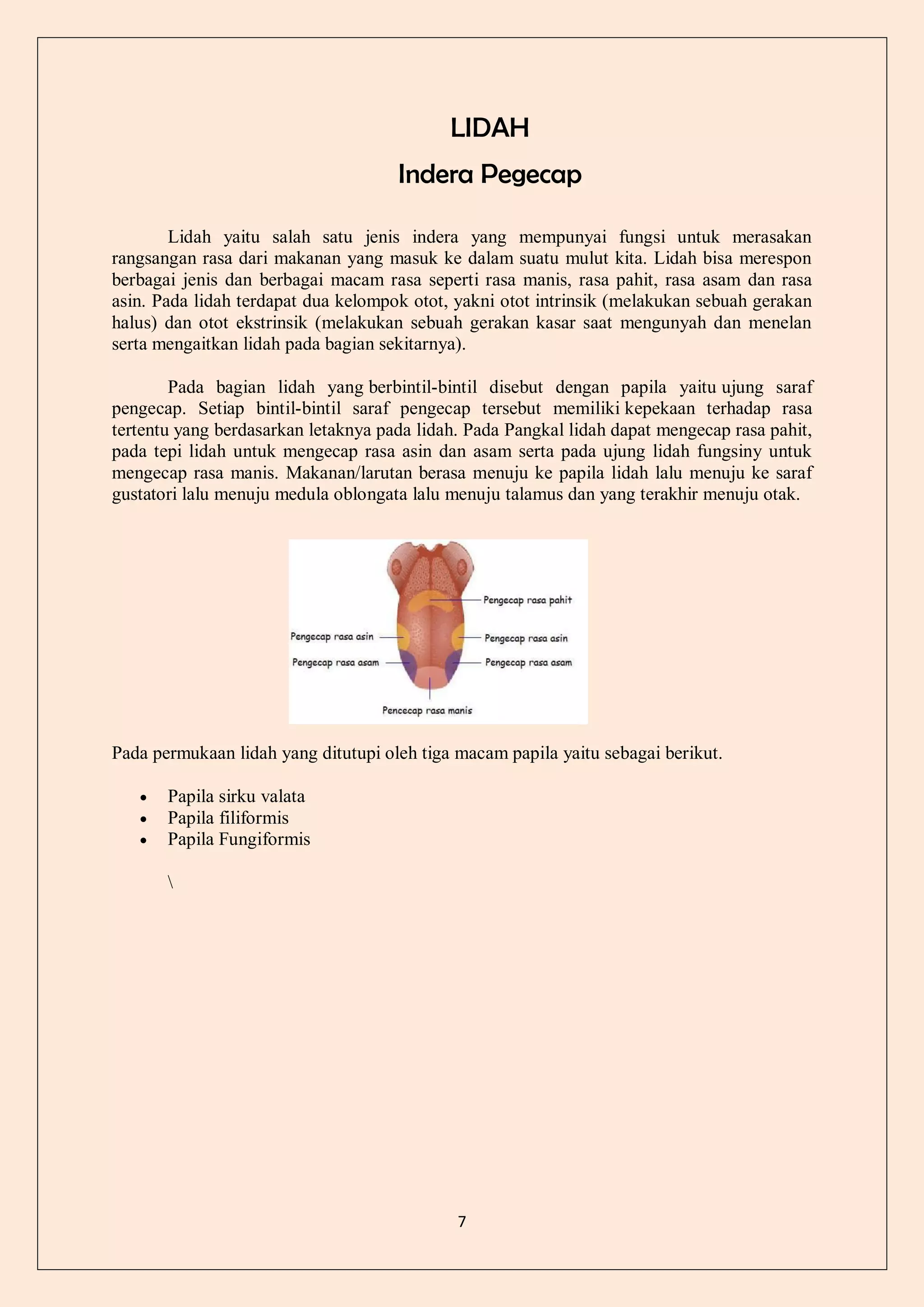 Modul Panca Indera | PDF