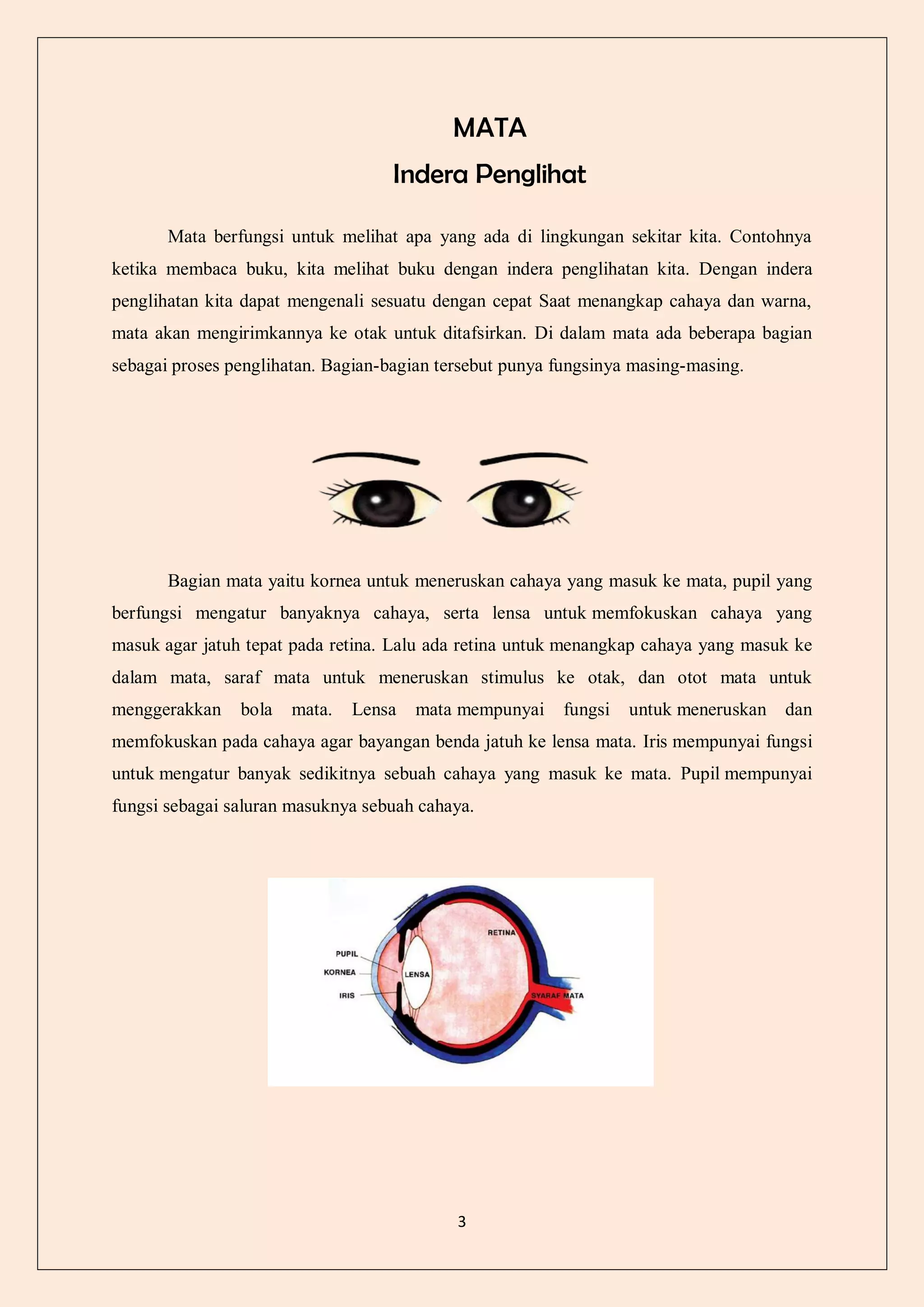 Modul Panca Indera | PDF