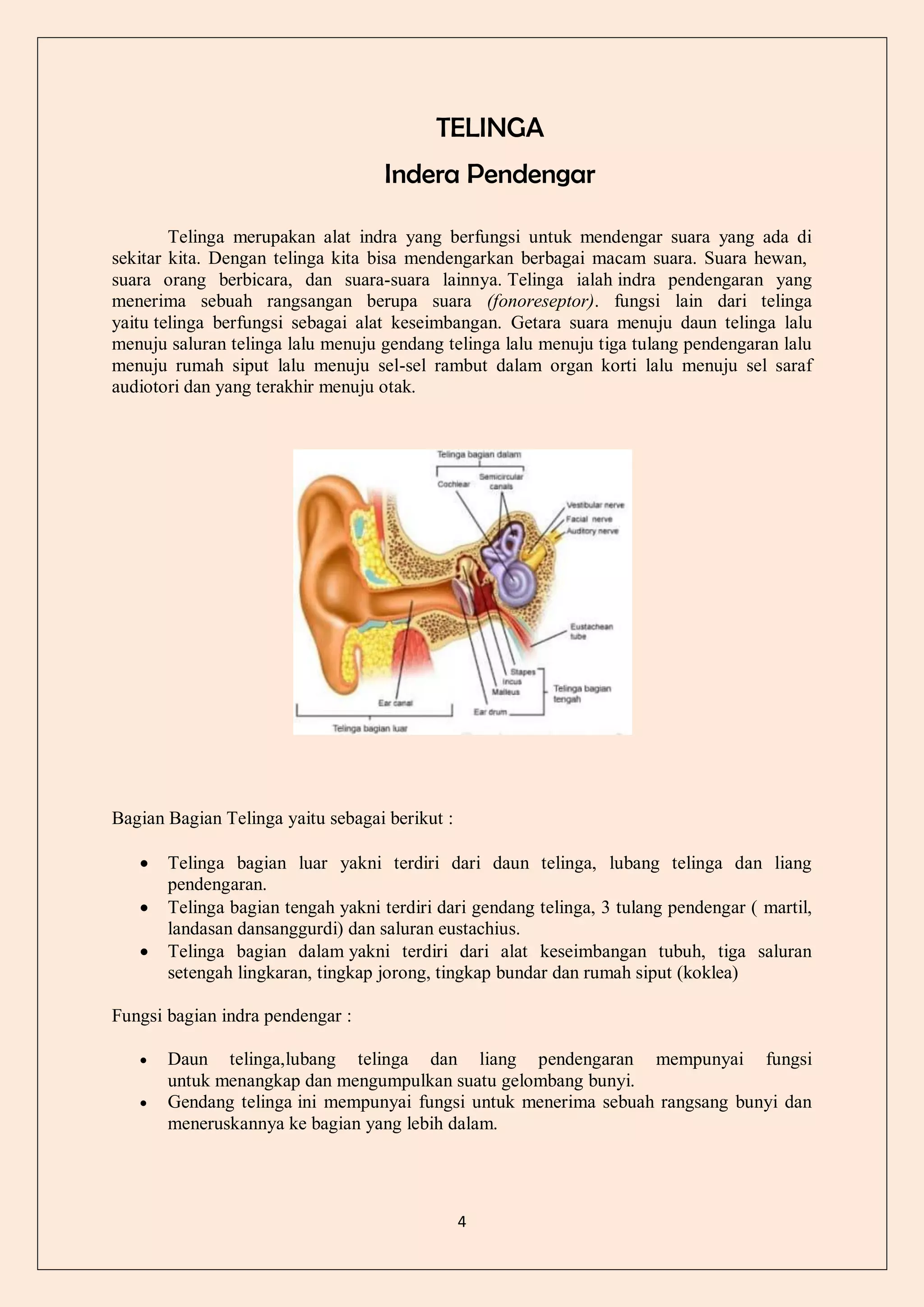 Modul Panca Indera | PDF