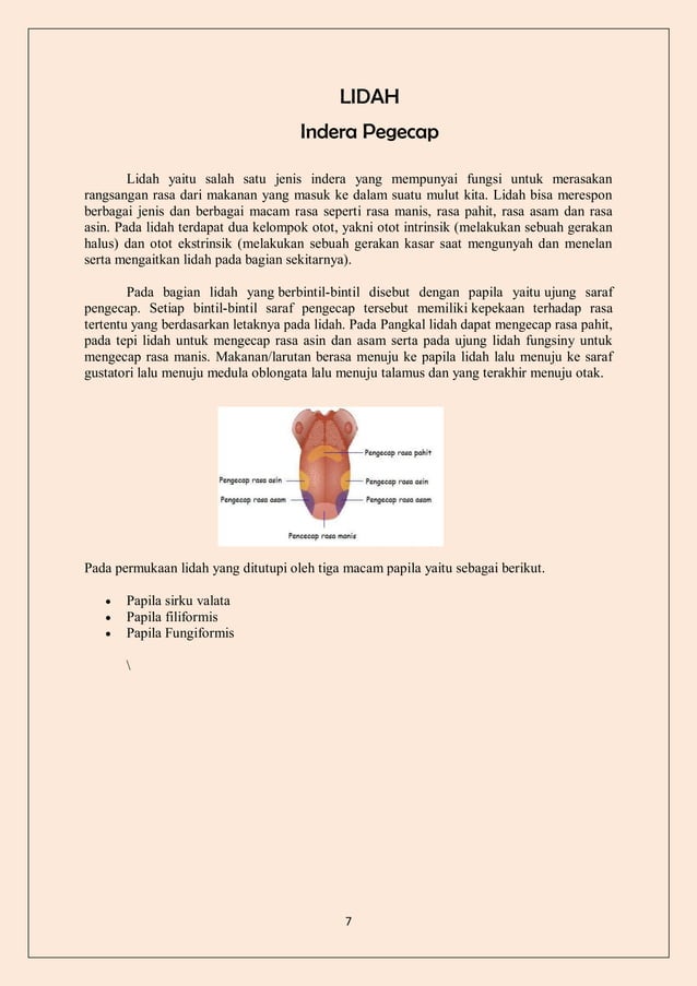 Modul Panca Indera | PDF