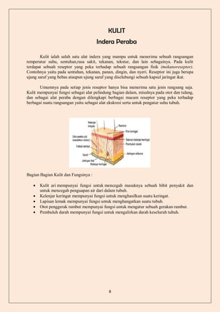 Modul Panca Indera | PDF