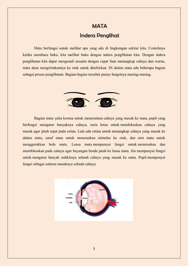 Modul Panca Indera | PDF