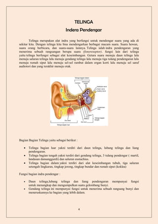 Modul Panca Indera | PDF