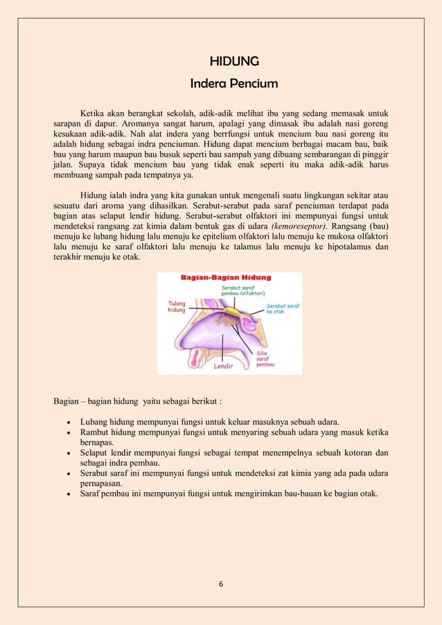Modul Panca Indera | PDF