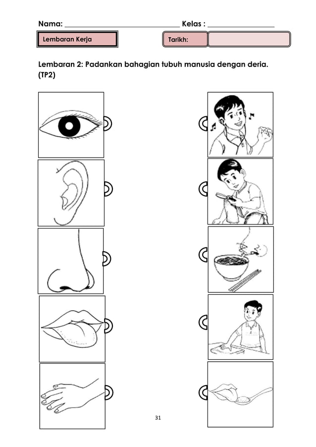 Modul PdP KSSR (Semakan 2017) Sains Tahun 1.pdf
