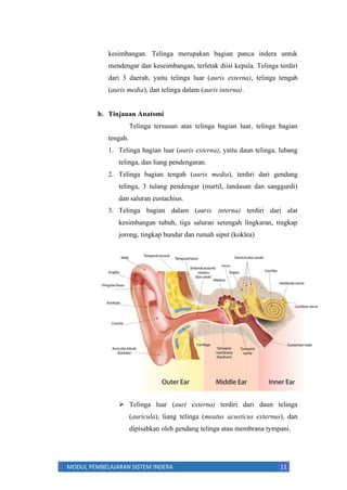 Modul pembelajaran sistem indera | PDF