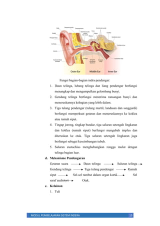 Modul pembelajaran sistem indera | PDF
