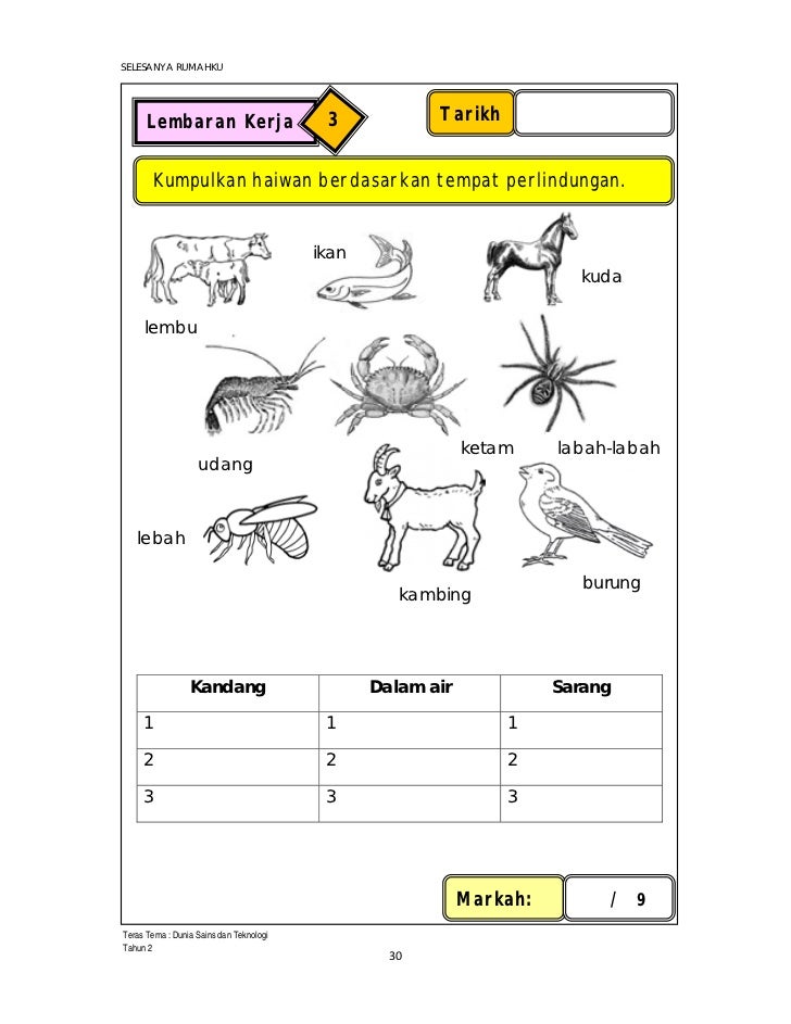 Modul Pengajaran DST Tahun 2