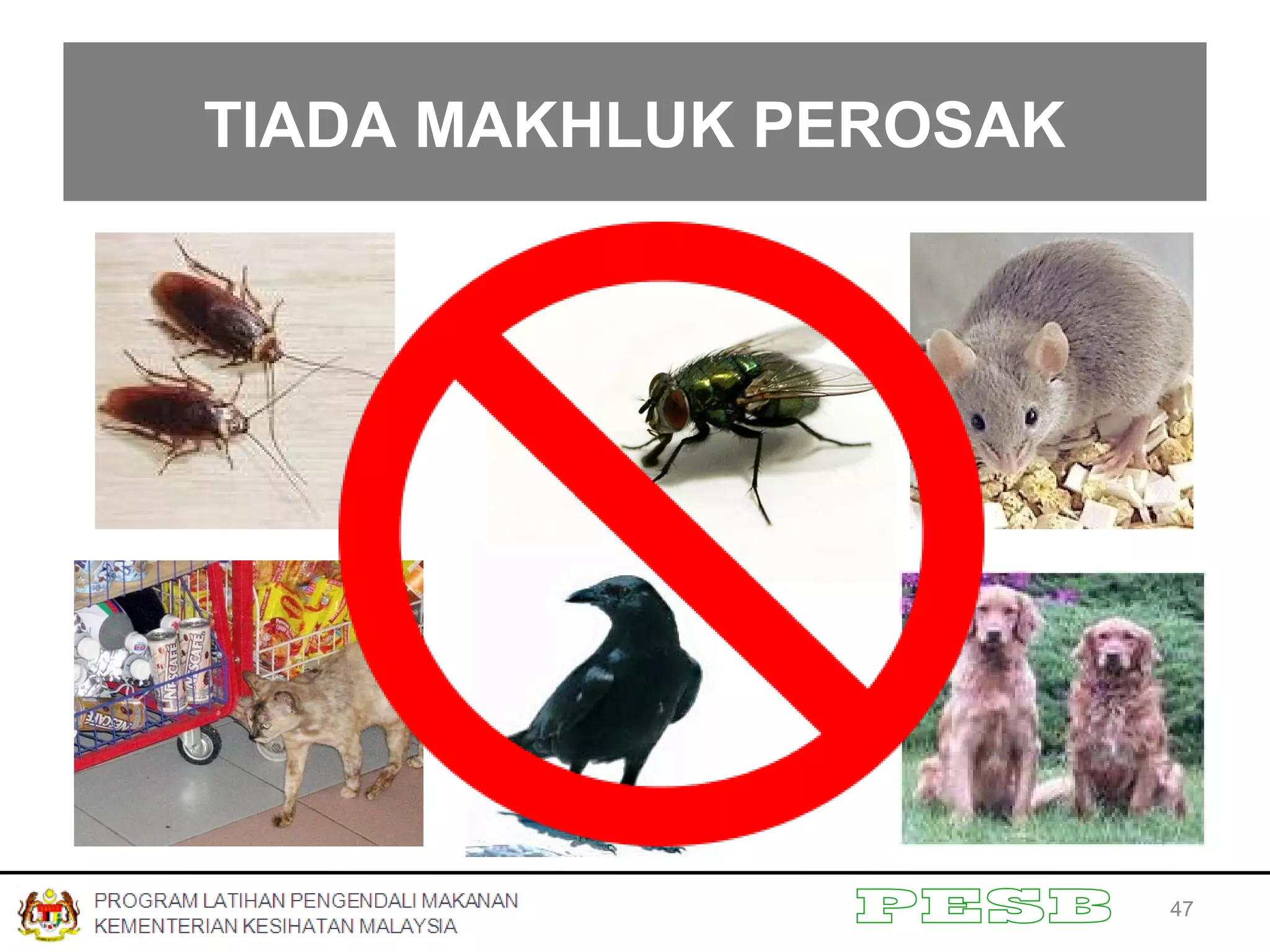 Latihan Pengendali Makanan | PPT