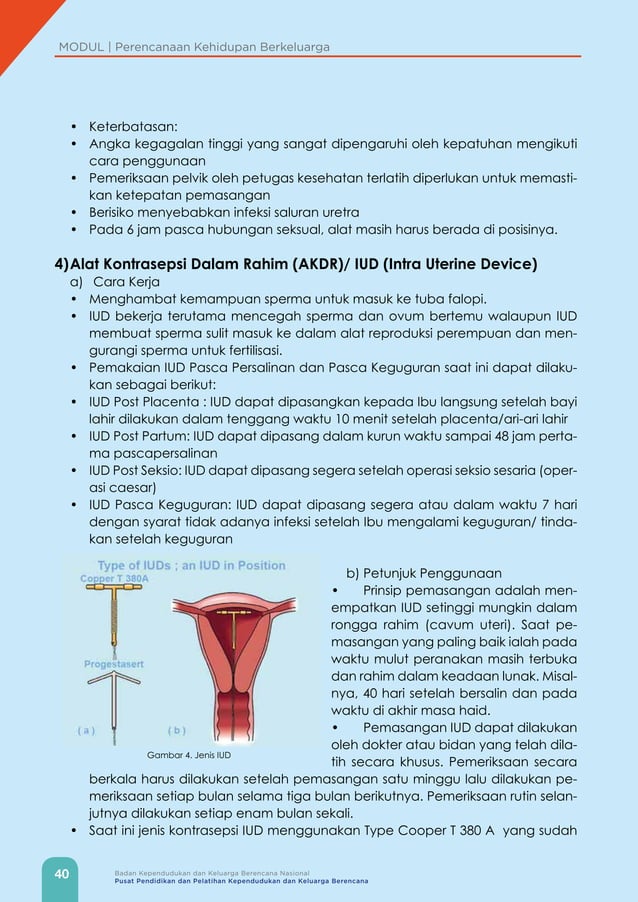 Modul perencanaan kehidupan berkeluarga bkkbn rev4 | PDF