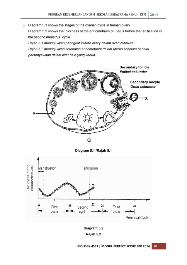 Modul perfect score sbp biology spm 2014 | PDF