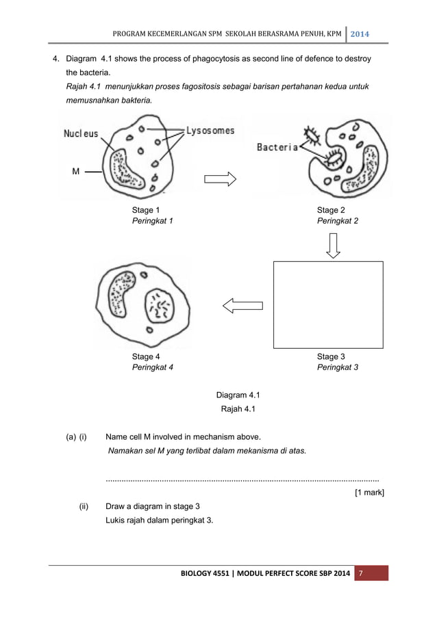 Modul perfect score sbp biology spm 2014 | PDF