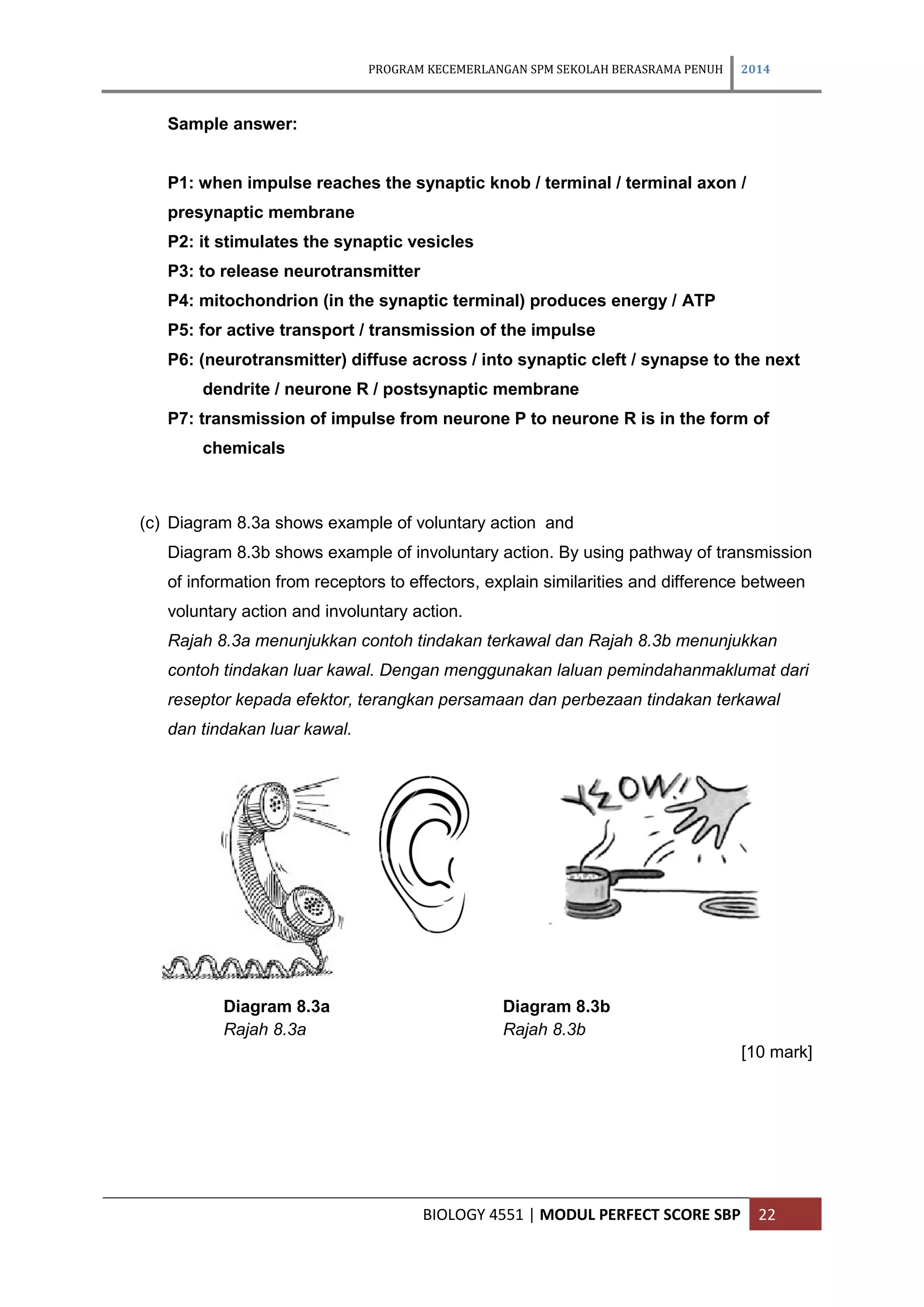 Modul perfect score sbp biology spm 2014 skema | PDF