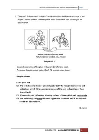 Modul perfect score sbp biology spm 2014 skema | PDF