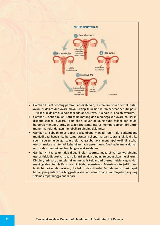 Modul Pusat Informasi Konseling Remaja (PIK R) BKKBN Program Prioritas ...