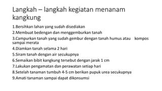 MODUL PROJECT 7C SMP N 7 KANDIS.pptx