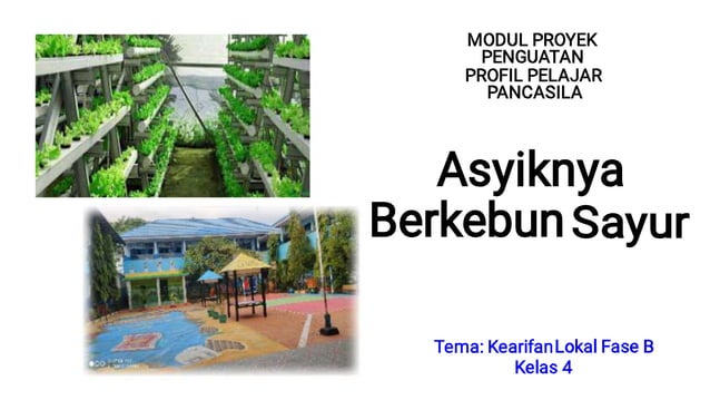 Modul Projek Kearifan Lokal - ASIKNYA BERKEBUN SAYUR - Fase B (1).pptx